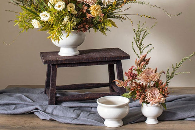 Dawson Compote – Elizabeth Watson