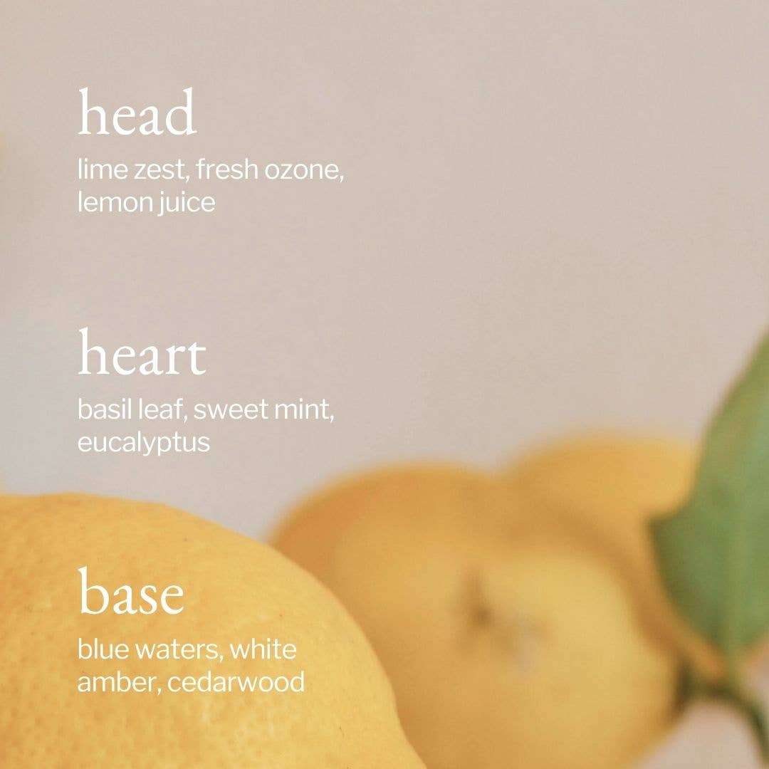 Liquid Dish Soap | Lemon, Sage & Rosemary – Elizabeth Watson